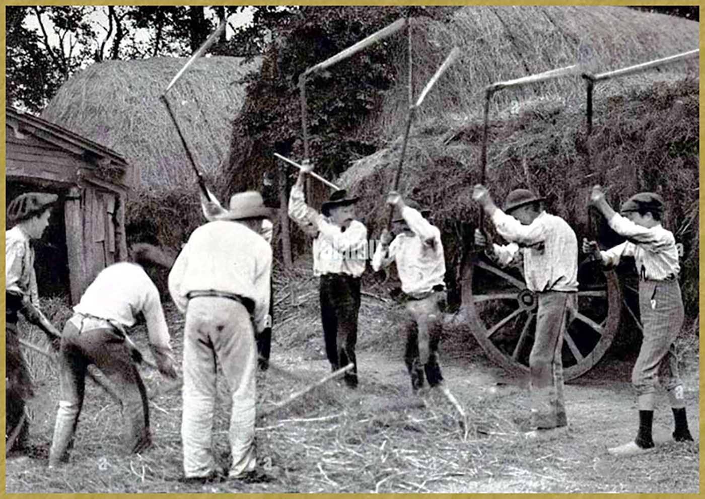 Transformation du Lin et Chanvre